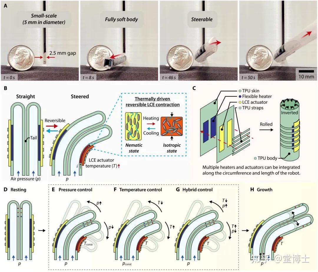 解锁柔性机器人精准导向能力！加州大学《Sci. Adv.》：LCE材料驱动毫米级软体机器人实现突破性外翻运动 - 知乎