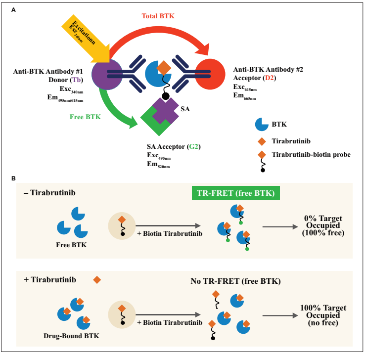 靶向BTK药物研究中相关药效学生物标志物研究策略 - 知乎