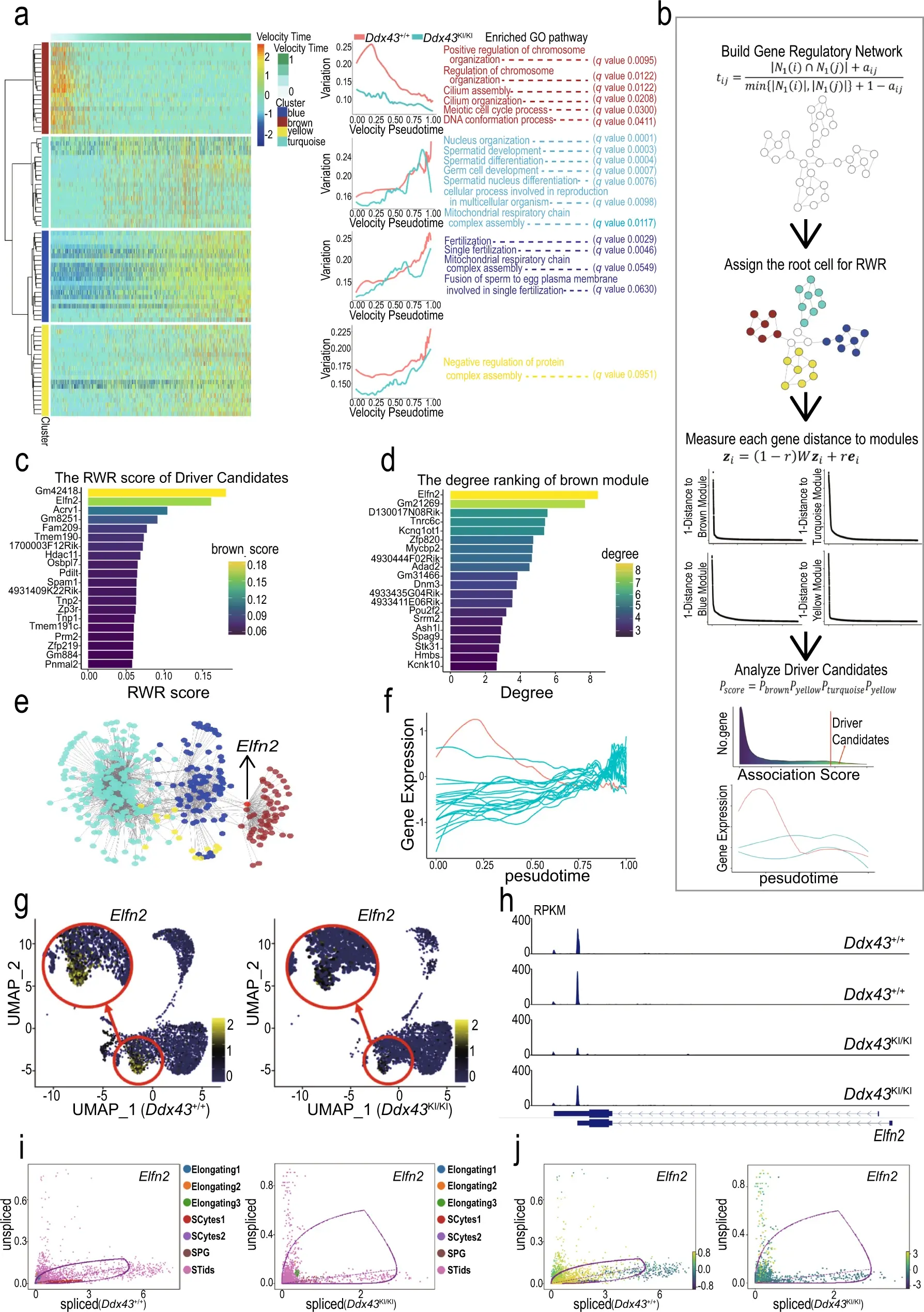 文献解读 | 单细胞测序+CLIP-seq技术强强联合，研究RNA结合蛋白的分子机制 - 知乎