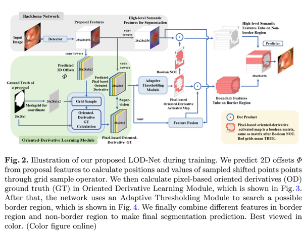 【论文精读-医学图像分割】Learnable Oriented-Derivative Network for Polyp Segmentation - 知乎