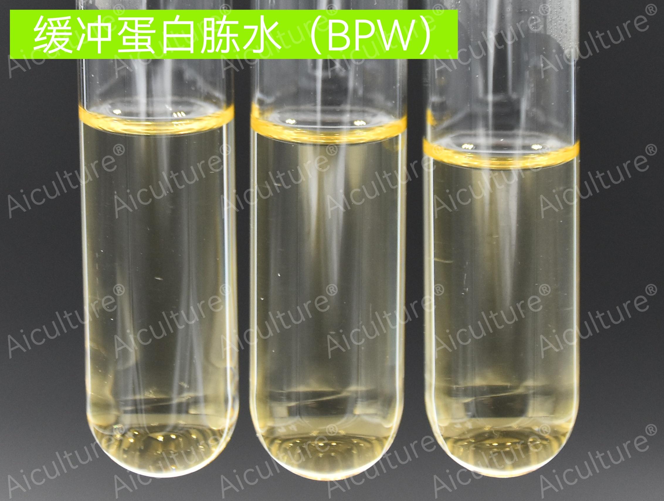 Aiculture|GB 4789.4-2024 沙门氏菌检验培养基原理解析 - 知乎