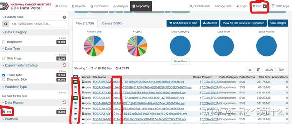 深度学习——WSI方向的数据收集 - 知乎