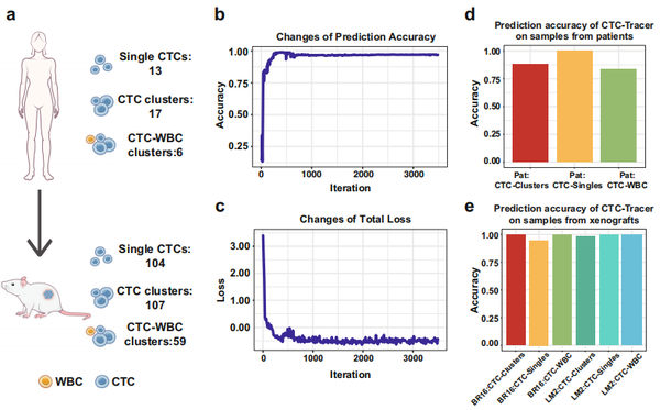 《Nature Communications》:CTC检测新方法 - 知乎