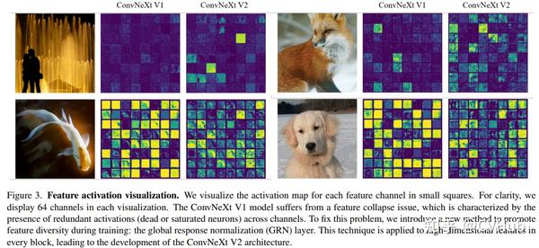 ConvNeXt-V2：当 MAE 遇见 ConvNeXt 会碰撞出怎样的火花？ - 知乎