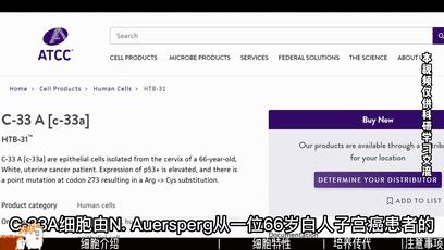 C-33a细胞培养，人宫颈癌细胞培养攻略-丰晖生物 - 知乎