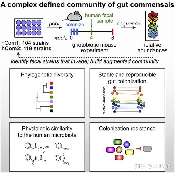 2022年9月Cell期刊精华 - 知乎