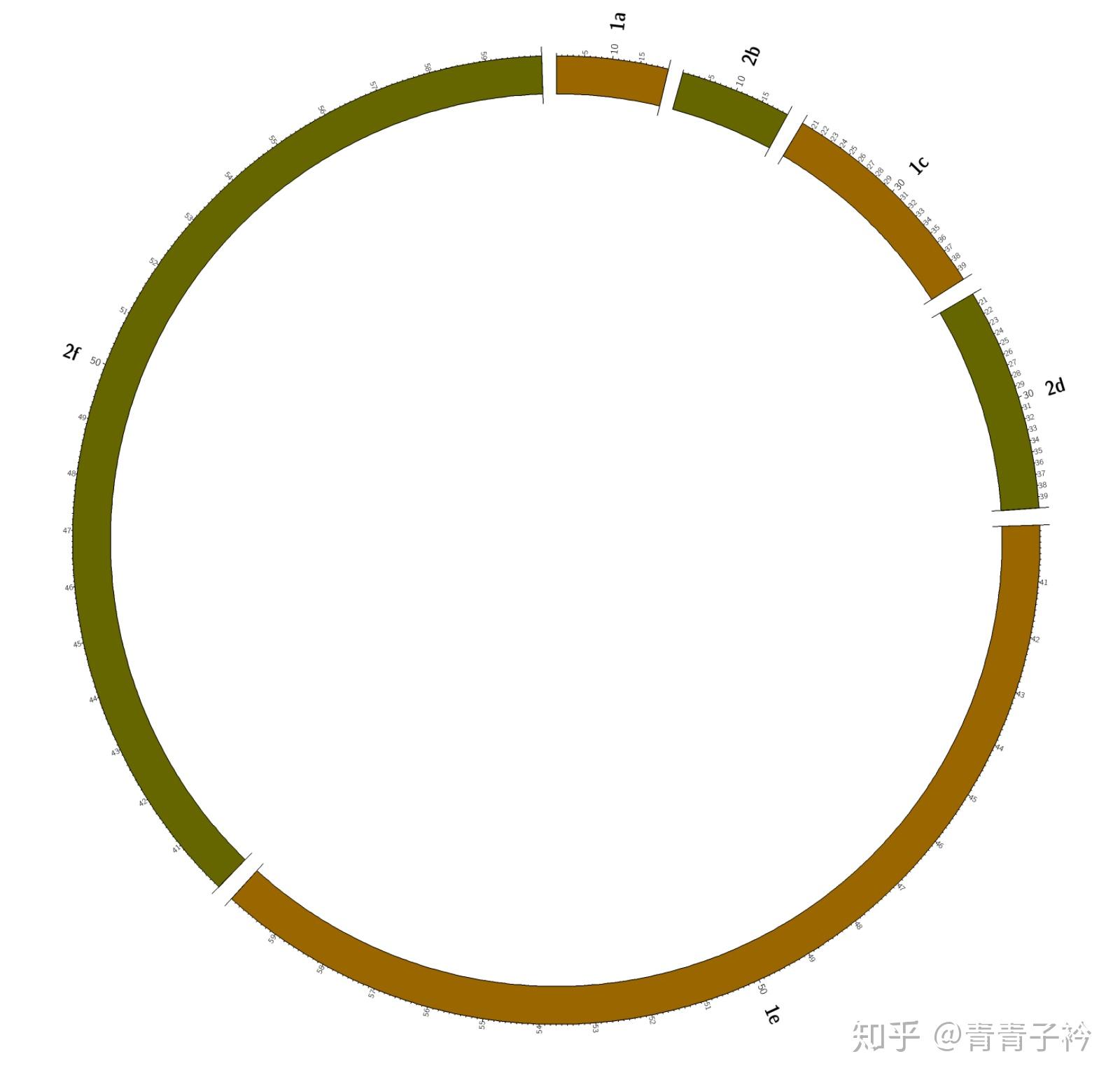 circos 学习手册（二十五） - 知乎