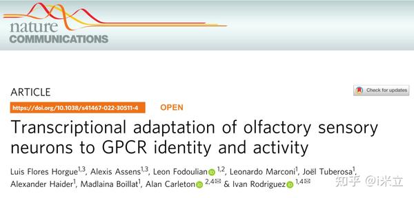Nature Communications｜气味如何产生？嗅觉神经元对GPCR特性的转录适应 - 知乎