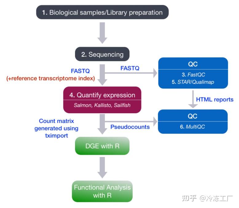 RNA-seq 详细教程：分析流程介绍（1） - 知乎