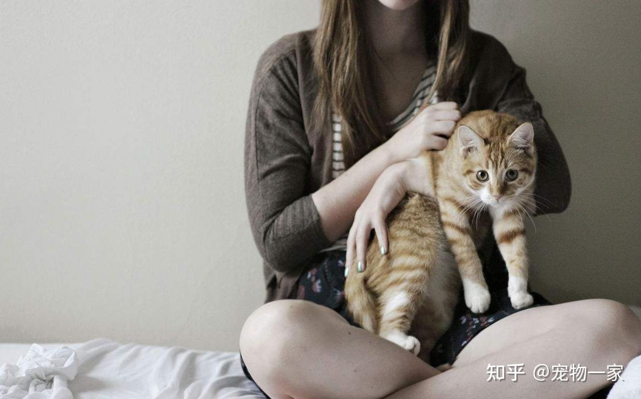 新手养猫最容易犯的6个 错误”,你中了几个? 知乎