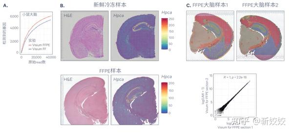 小白课堂 | FFPE样本的空间转录组是怎么做的？ - 知乎