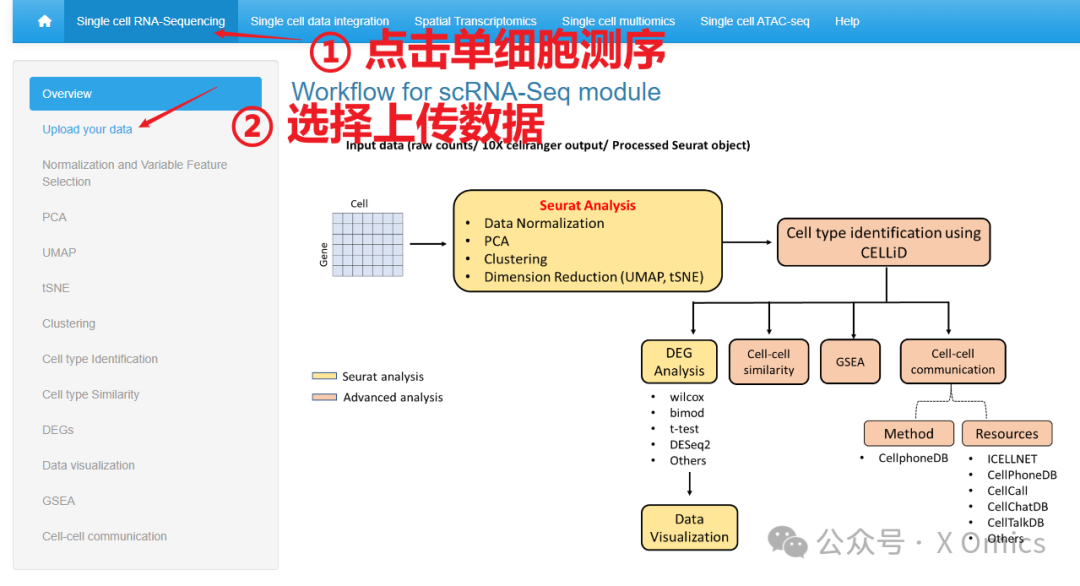 单细胞分析平台 ezSingleCell 教程（1） - 知乎