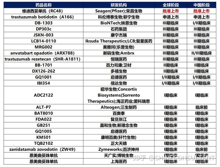 DS-8201之后，HER2 ADC的迭代70%看中国！ - 知乎