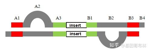 MGI和illumina常见文库结构 - 知乎