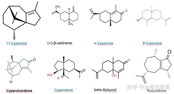 香精与香料(86)—香附(Rhizoma Cyperi) - 知乎