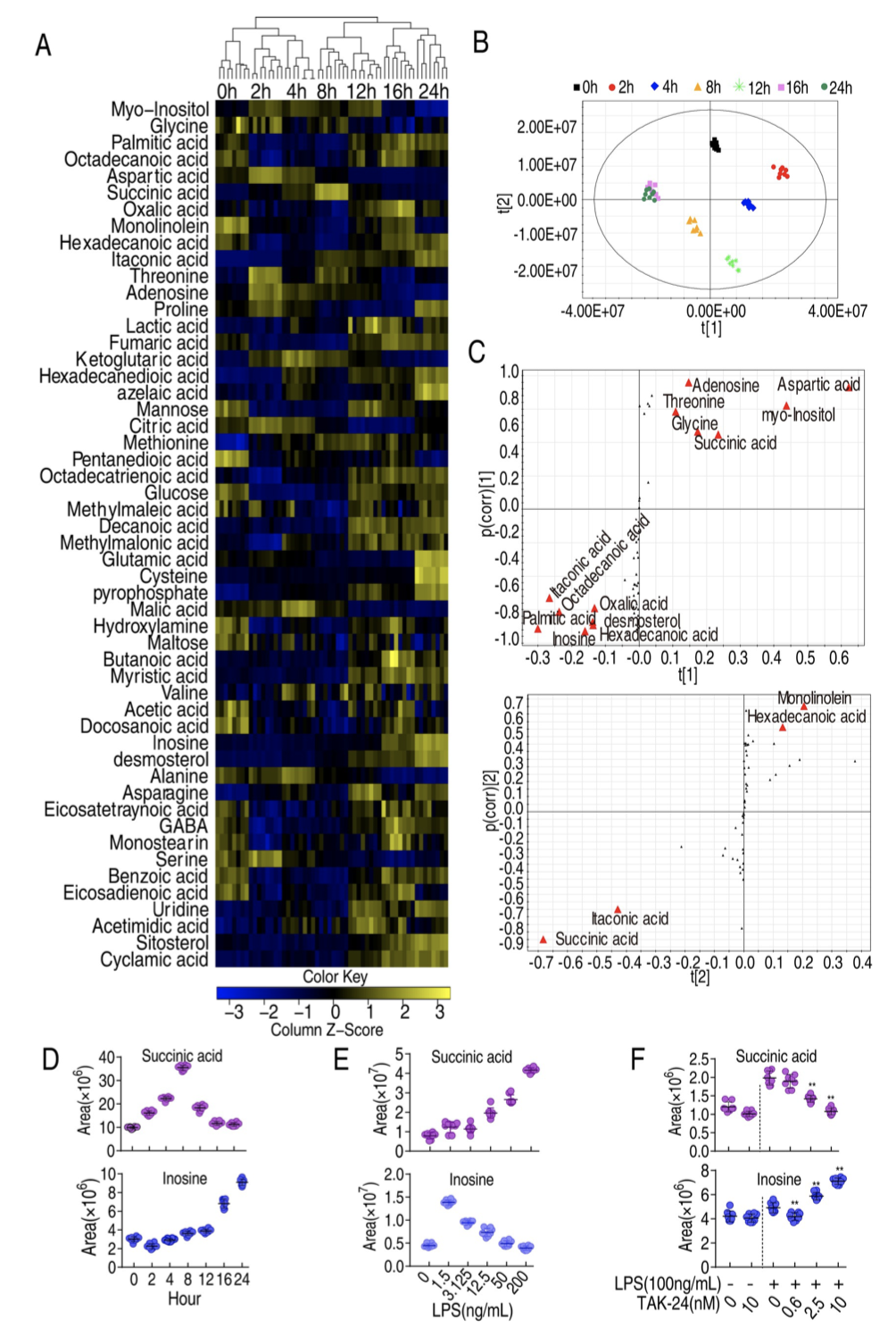 PLOS Pathogens丨琥珀酸和肌苷协调对细菌感染的先天免疫反应 - 知乎