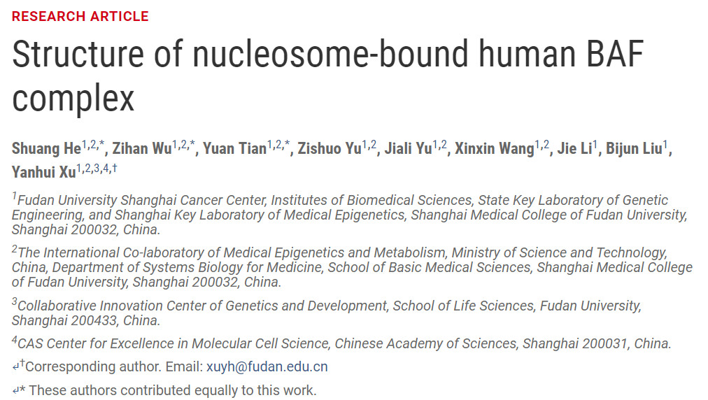 Science丨复旦大学揭示人源BAF复合物的染色质重塑机制 - 知乎