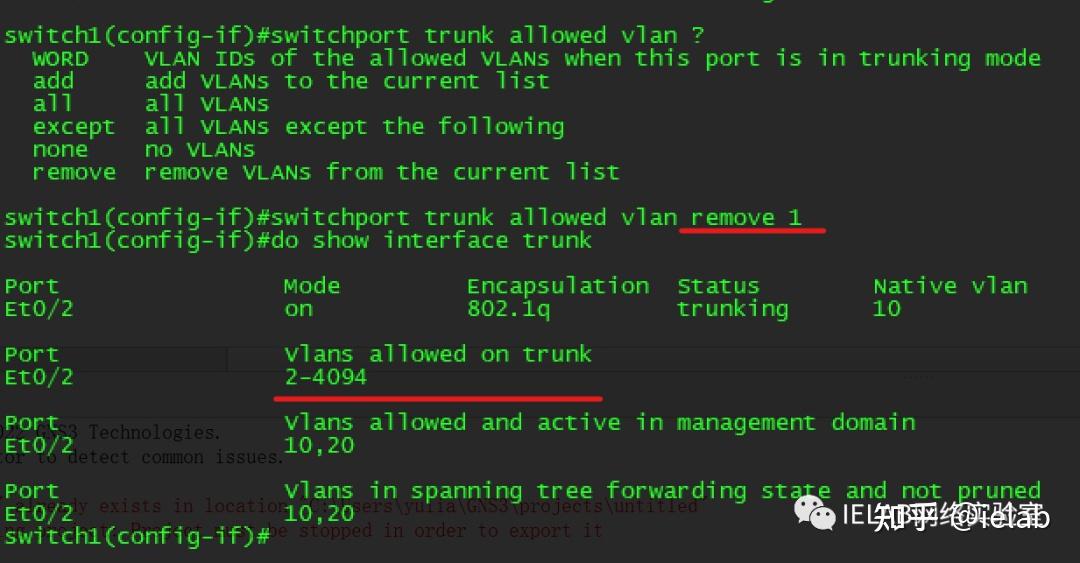 交换基础trunk超详细实例讲解，@所有人速度敲起来 - 知乎