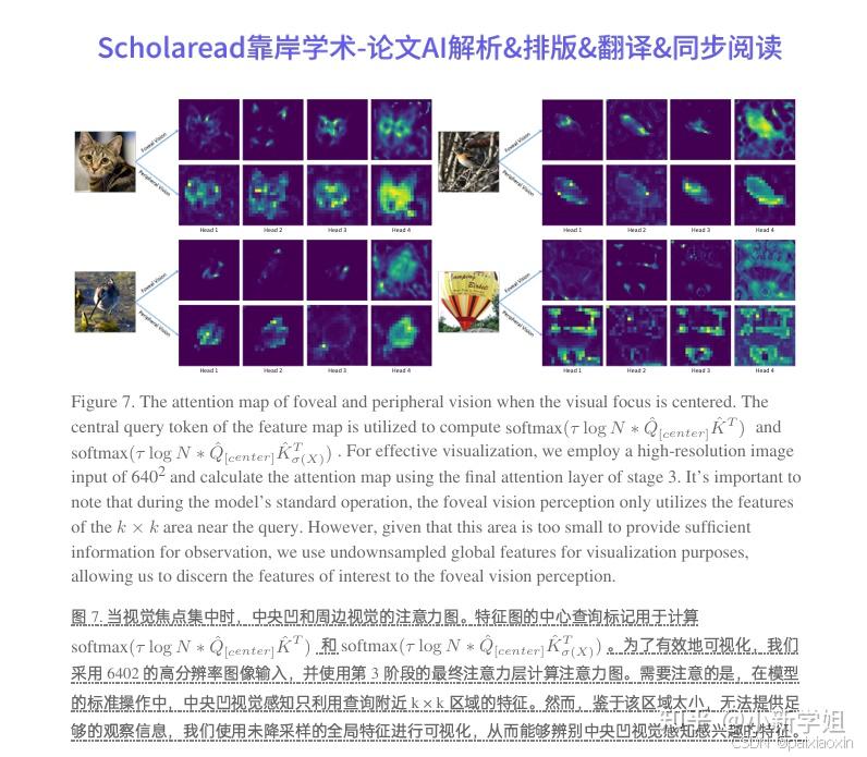 CV-visiontransformer经典论文解读|TransNeXt: Robust Foveal Visual Perception ...