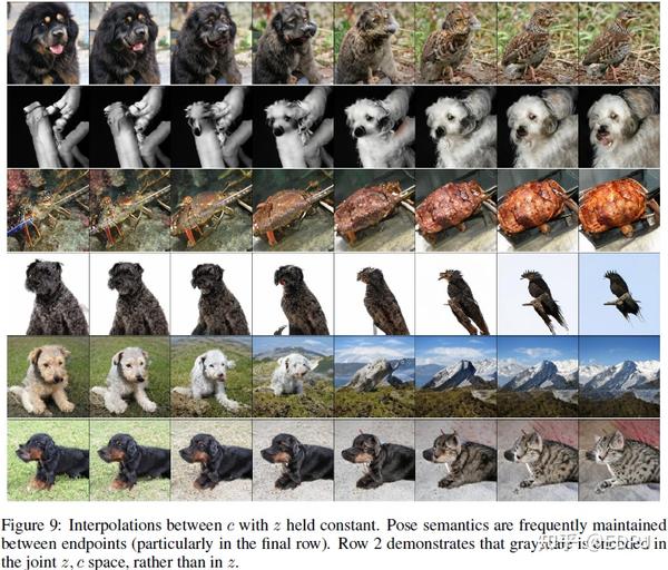 （BigGAN）用于高保真自然图像合成的大规模 GAN 训练 - 知乎