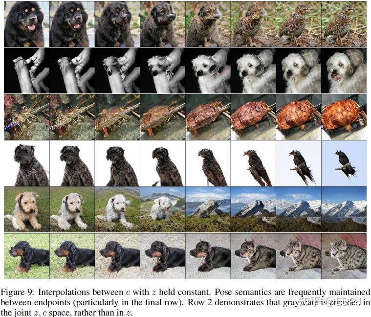 （BigGAN）用于高保真自然图像合成的大规模 GAN 训练 - 知乎