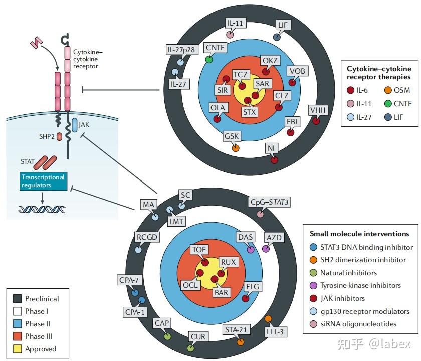 炎性多因子检测之白介素细胞6(IL-6) - 知乎