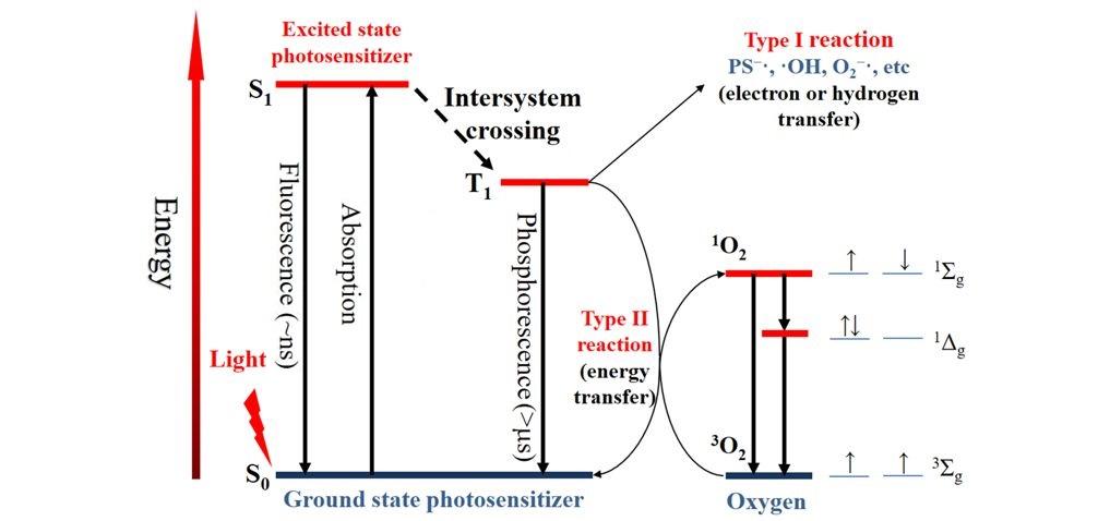 MPOC 笔记 第十六章 （2） Jablonski 图-1 - 知乎