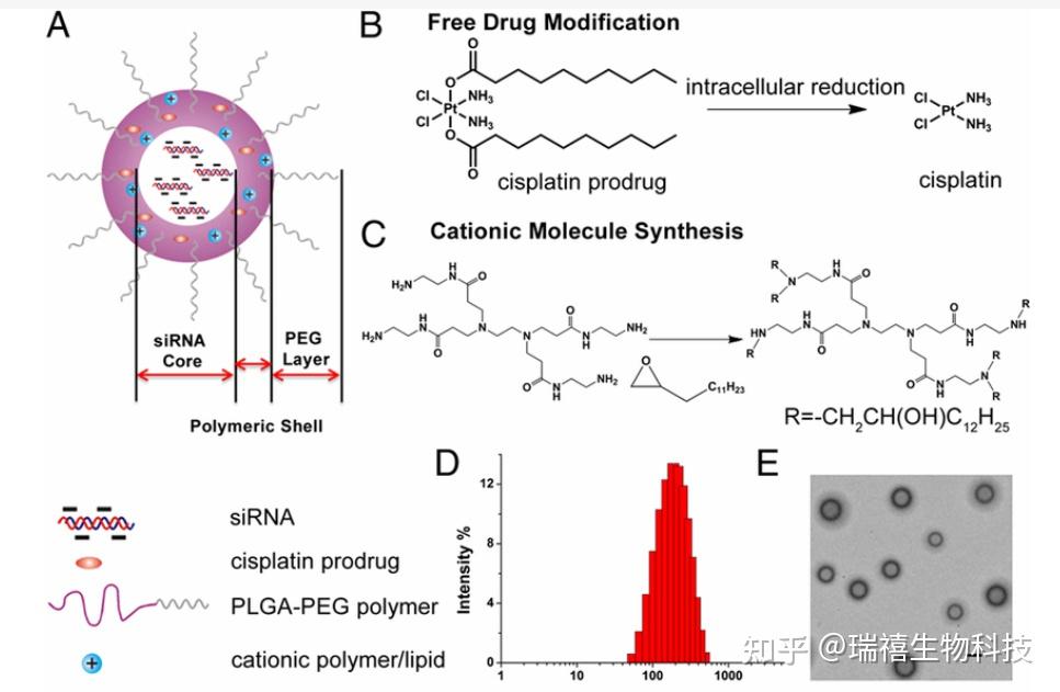 PLLA-PEG-SH/PLLA/PEG1/2/3/4/5/10/30/50K聚左旋乳酸-聚乙二醇-疏基 - 知乎