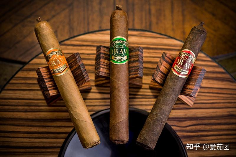 非古雪茄推荐——Southern Draw Rose of Sharon Toro - 知乎