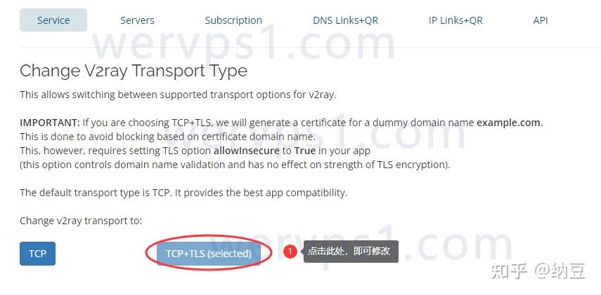 v2rayN配置 - 知乎
