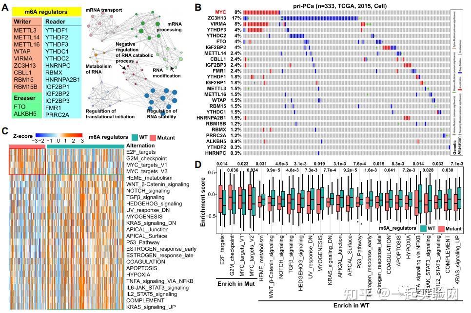 m6A整合生信分析可发NAR Cancer！ - 知乎