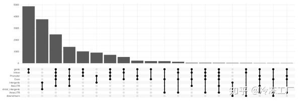 Chip Seq 分析:peak 注释与可视化(9) 知乎 9437