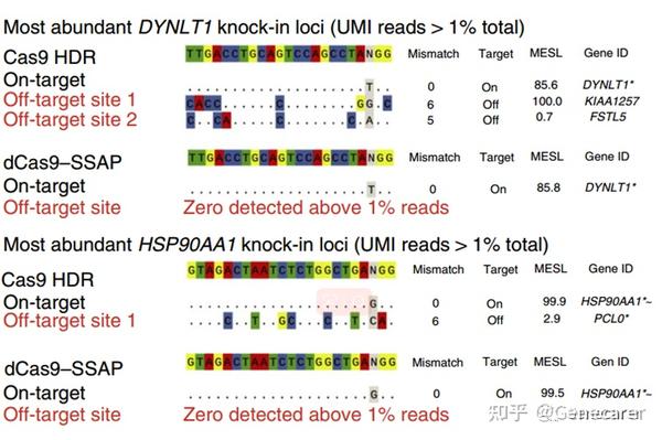 无切割基因敲入系统：dCas9-SSAP，主打一个Cleavage-Free！ - 知乎