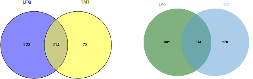 全网最详细 | TMT、LFQ和DIA傻傻分不清？一文读懂三者区别和应用 - 知乎