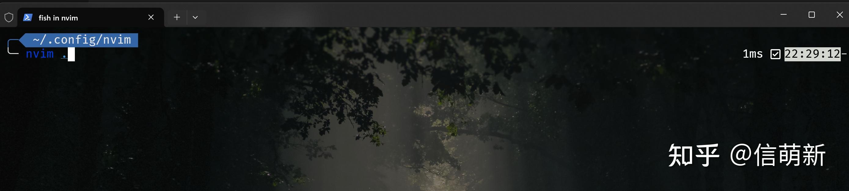 【Linux】Neovim框架—AstroNvim初识 - 知乎
