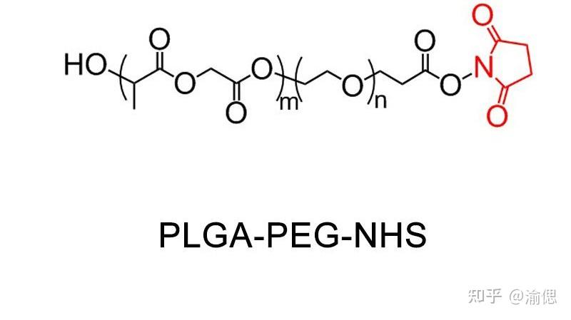 PLGA-PEG-NHS的简要介绍以及在载体制备领域的应用 - 知乎
