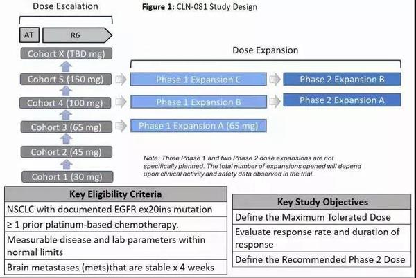 治疗EGFR 20ins的又一悍将——CLN-081（TAS6417） - 知乎