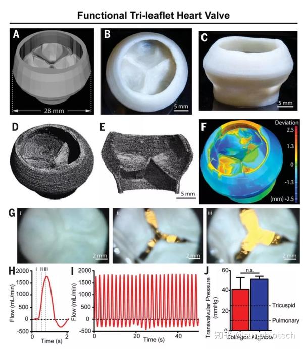 《Science》重磅| 生物3D打印胶原心脏 - 知乎