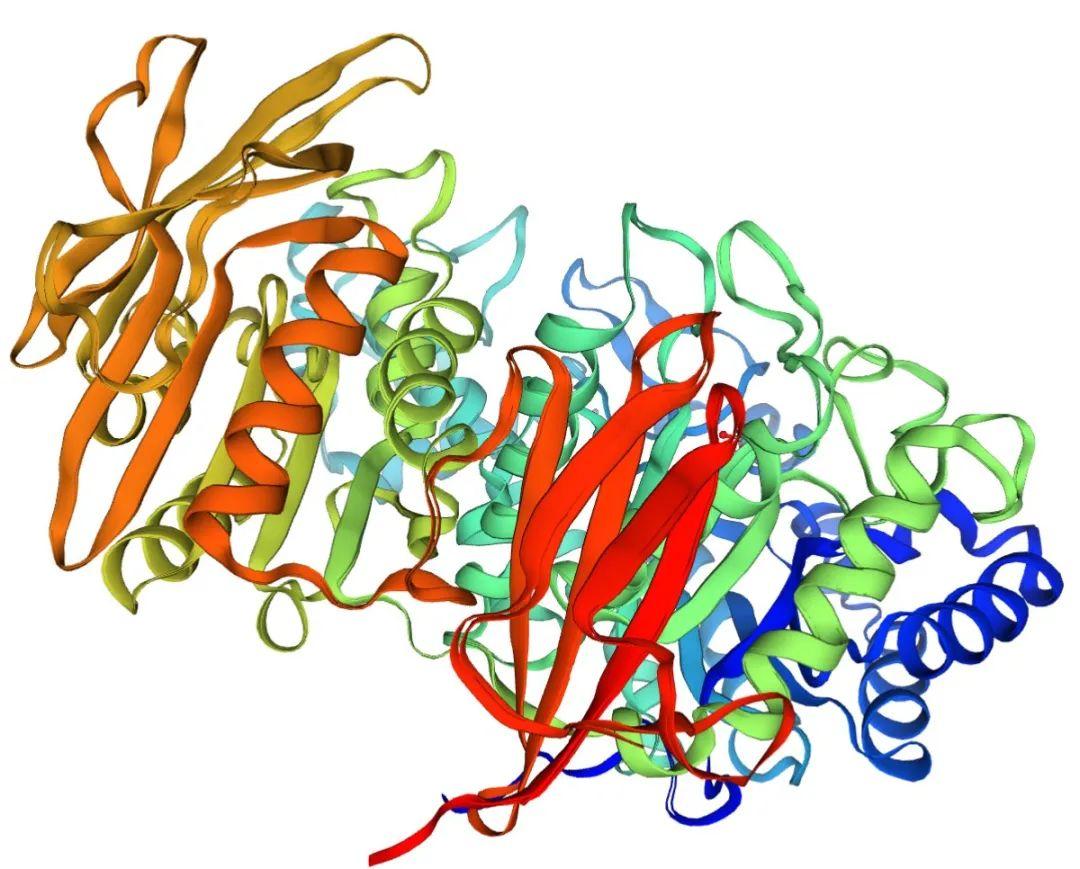 β-半乳糖苷酶（EC 3.2.1.23） - 知乎
