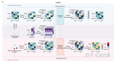 5篇Nature重磅论文！基因组学中的「ChatGPT」前景向好 - 知乎
