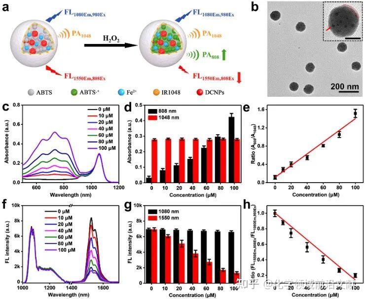 福州大学杨黄浩/林立森AFM：微环境可控型催化纳米探针用于NIR-II荧光/光声比率成像检测肿瘤中过氧化氢 - 知乎