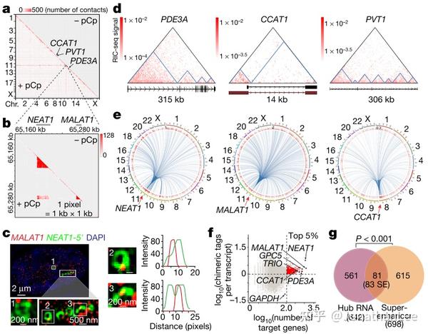 全基因组RNA-RNA interactions捕获技术解读（初） - 知乎