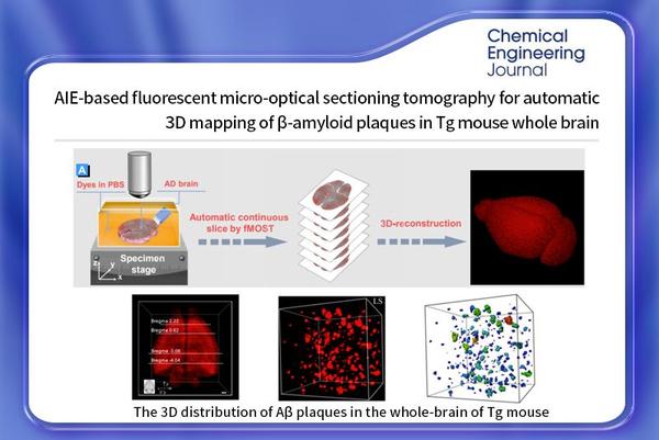 进展汇编：近期应用国产成像技术fMOST的14篇重要学术成果 - 知乎