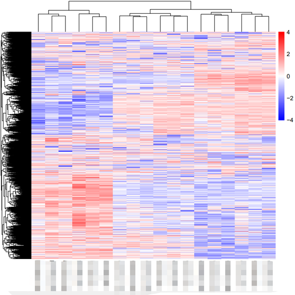 转录组丨limma差异表达分析，绘制火山图和热图 - 知乎