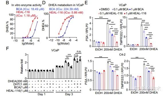 PNAS: 中科院等团队联合开发新型3βHSD1抑制剂HEAL-116改善前列腺癌ARPI耐药 - 知乎