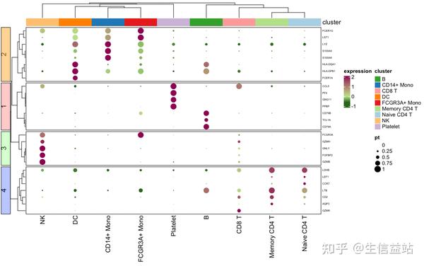 R绘图技巧30| ComplexHeatmap版本的复杂DotPlot(一) - 知乎