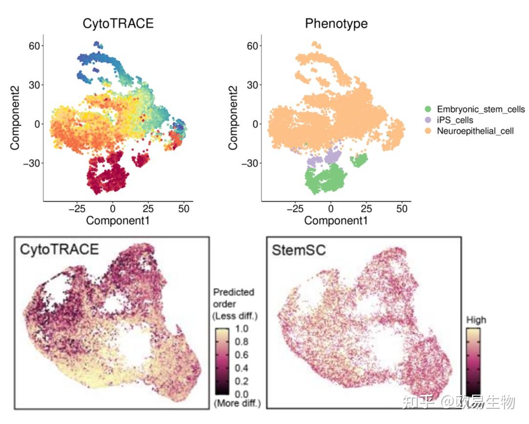 分享一个细胞分化能力的计算神器！玩转拟时序之CytoTRACE分析 - 知乎
