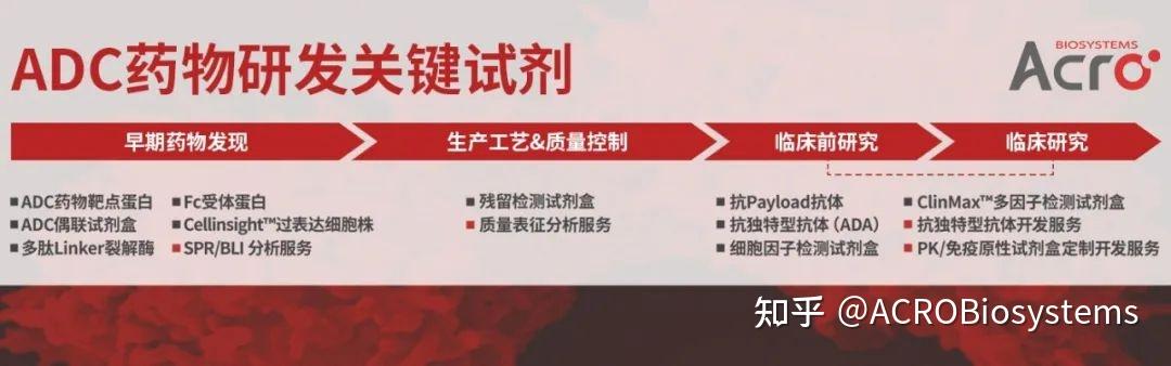 AACR 2025|双载荷ADC、双抗ADC及新兴靶点创新趋势分析 - 知乎
