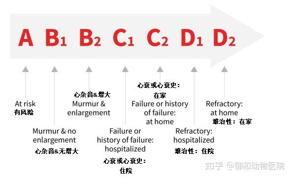 御和动物医院：【专业知识】如何安全麻醉黏液瘤样二尖瓣疾病患犬 - 知乎