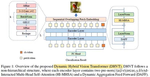 DHVT：在小数据集上降低VIT与卷积神经网络之间差距，解决从零开始训练的问题 - 知乎